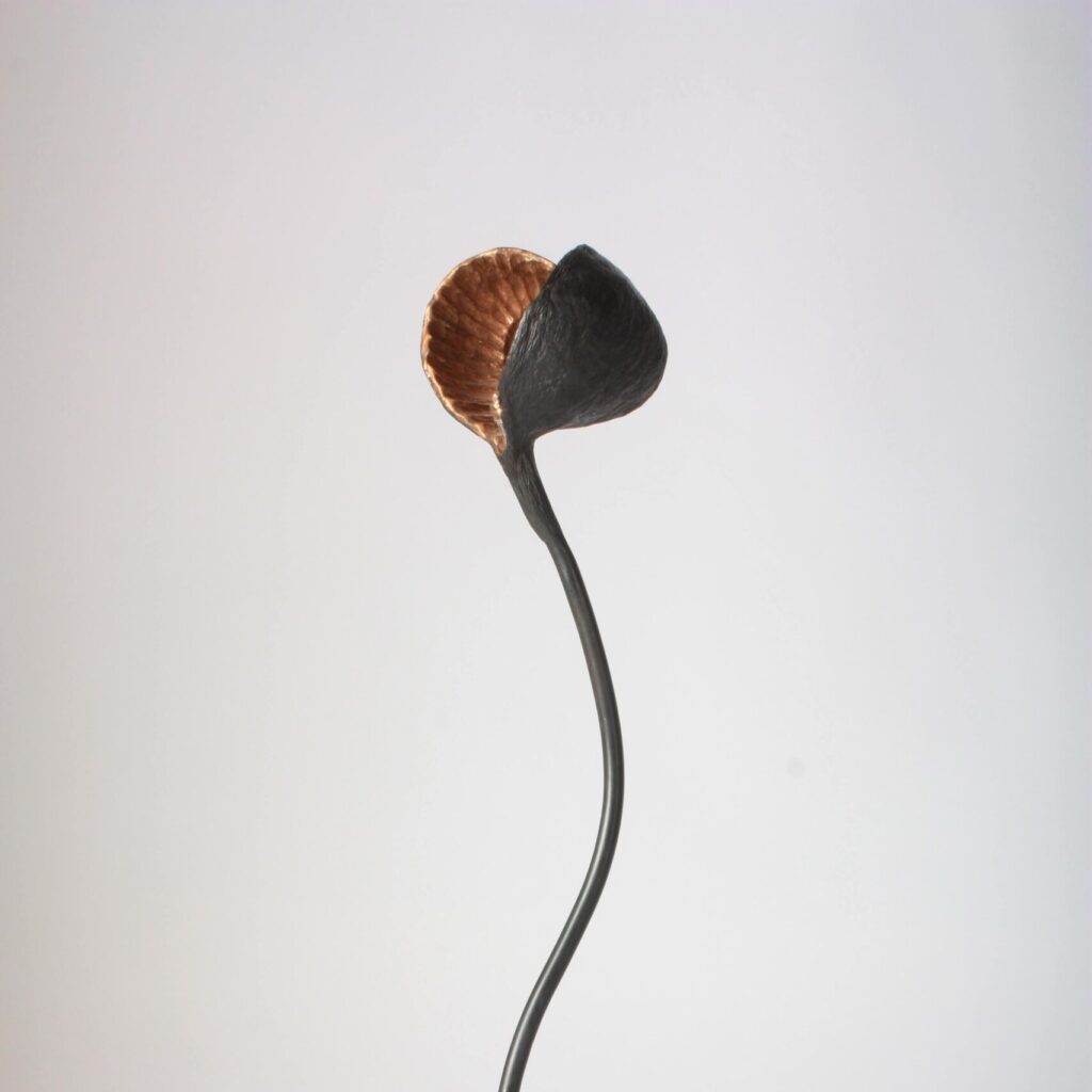 graine n°2 - atelier entourage