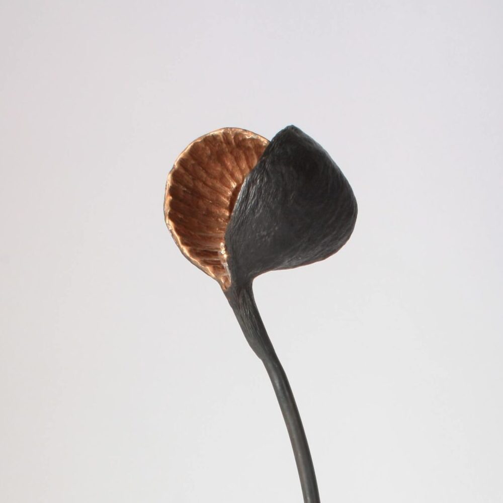 graine n°2 - atelier entourage